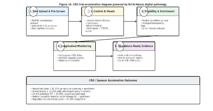 AI-Driven Digital Pathology for Breast Cancer Insights - European ...