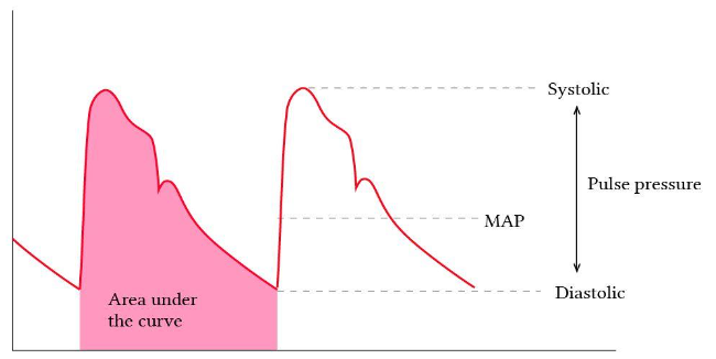 AI-Enhanced Non-Invasive Blood Pressure Waveform Analysis - European ...