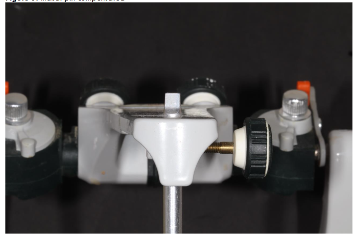 Bradasch Technique for Mandibular Position in TMD Patients - European ...