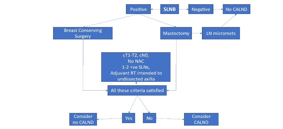 Breast Cancer: Omission of Axillary Node Surgery - European Society of ...
