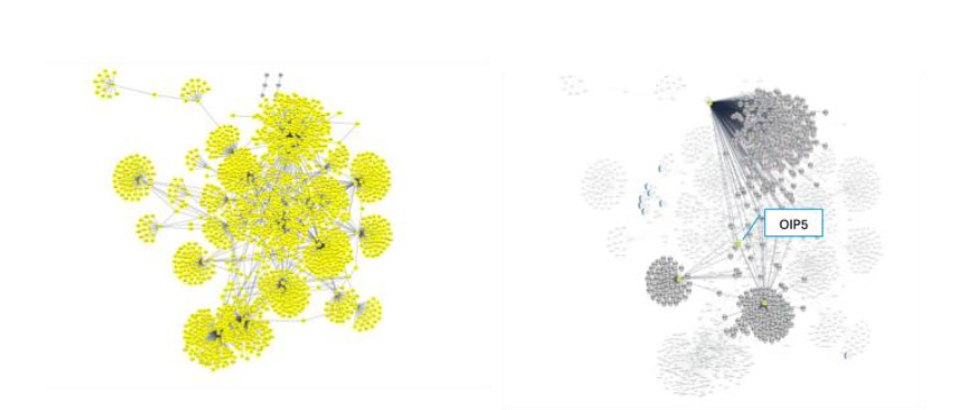 Cellular Stress Proteins in Mothers of Aneuploid Fetuses - European Society of Medicine