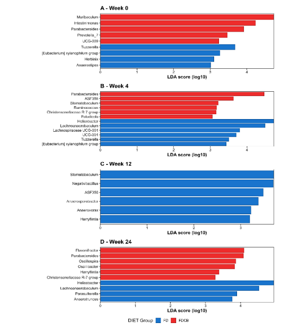 Choline and Betaine’s Impact on Obesity and Gut Health - European ...