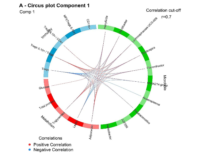 Choline and Betaine’s Impact on Obesity and Gut Health - European ...
