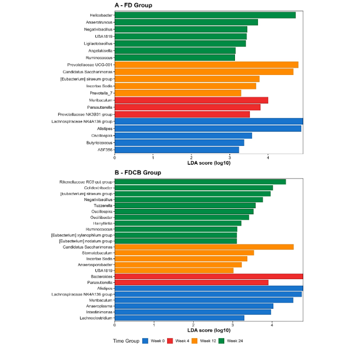 Choline and Betaine’s Impact on Obesity and Gut Health - European ...