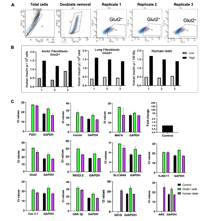 Direct Epigenetic Reprogramming of Somatic Cells to Insulin Cells ...