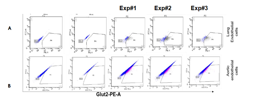 Direct Epigenetic Reprogramming of Somatic Cells to Insulin Cells ...