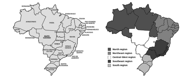 Epidemiological Insights on STIs and Viral Hepatitis in Brazil ...