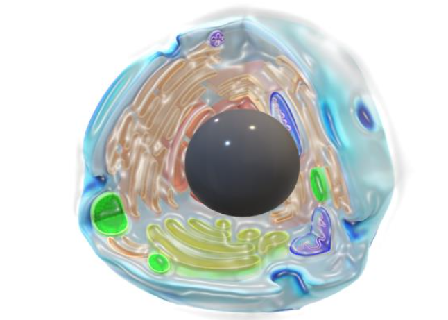 Epidemiology of IBD and Drinking Water Quality Insights - European ...