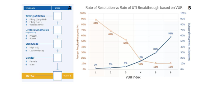 Evolving Pediatric Vesicoureteral Reflux Management Strategies ...