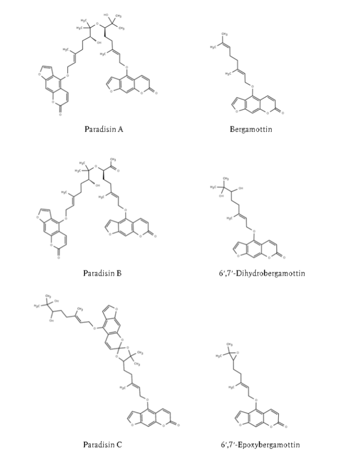 Food, Supplements, and Smoking: Drug Interaction Insights - European ...