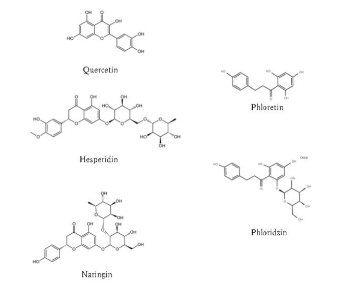 Food, Supplements, and Smoking: Drug Interaction Insights - European ...