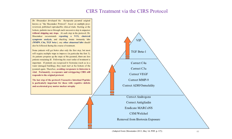 Health Effects of Water-Damaged Buildings: A Review - European Society ...