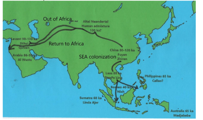 Human Migration Patterns in Eurasia and Australasia - European Society ...