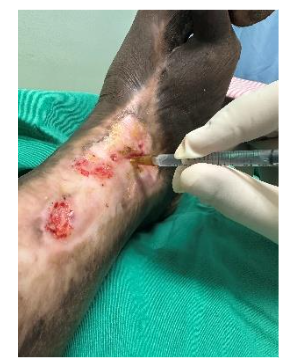 Mesenchymal Stem Cell Secretome for Chronic Wound Healing - European ...