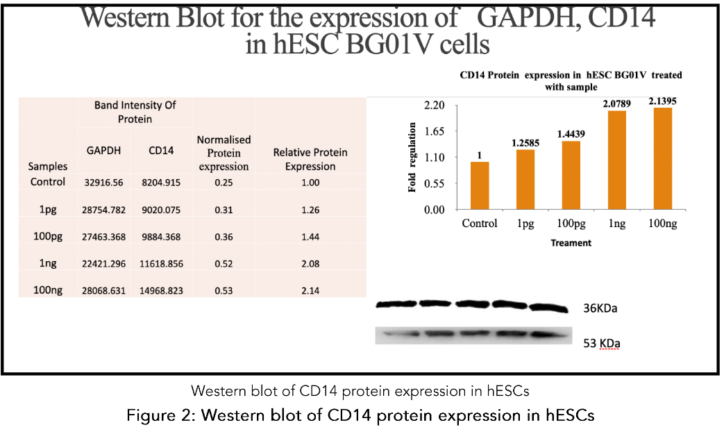 Metadichol Enhances CD14 Expression in Stem Cells - European Society of ...
