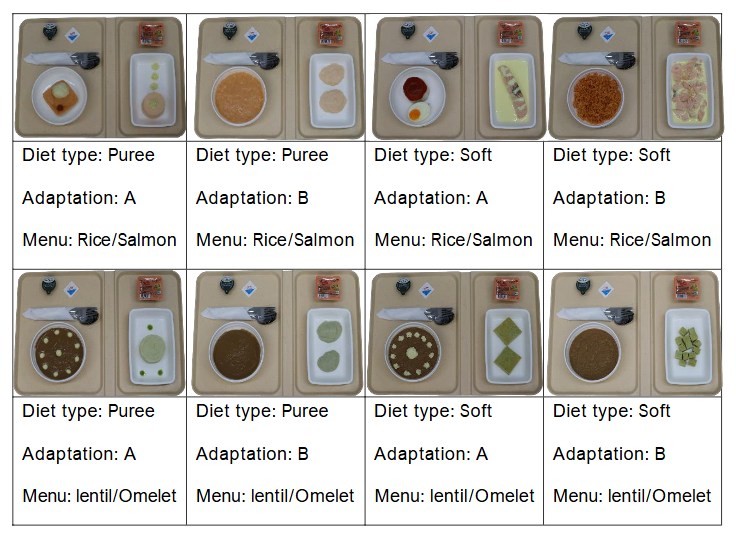 Perceptions of Hospital Food in Elderly Dysphagia Patients - European ...