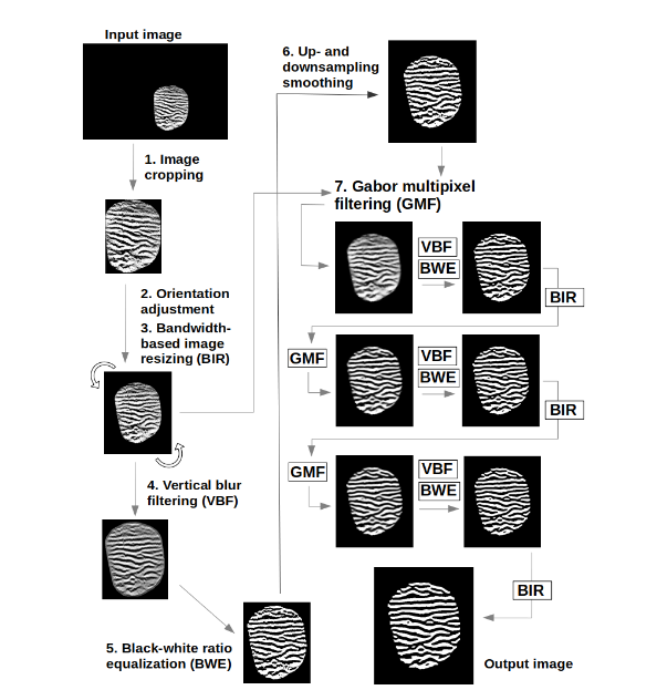 Personal Identification via Hunter-Schreger Bands in Enamel - European ...