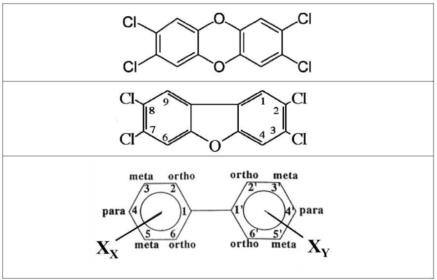 Transgenerational Dioxin Risks in Children: Half-Life Insights ...
