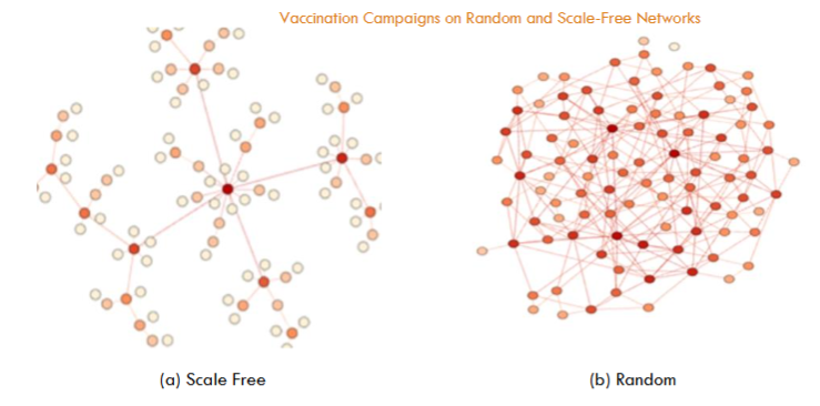 Vaccination Strategies in Random and Scale-Free Networks - European ...
